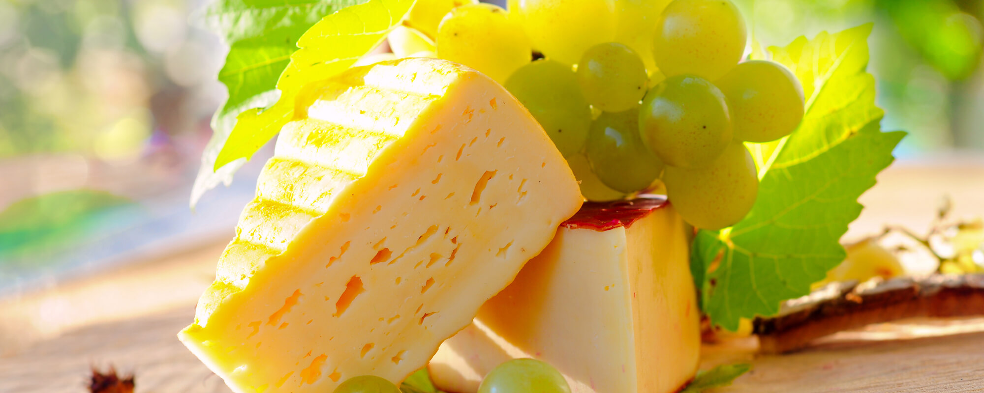 Bio-Käse - Eine grüne Wahl für die Umwelt und Ihren Gaumen im Raum ...